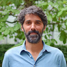 Avi Elran - CEO & Founder @ Streem.ai - Crunchbase Person Profile