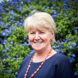 Susan V Hill RGN - Crunchbase Person Profile