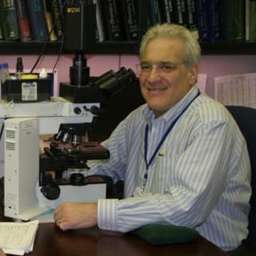 Stephen Peters - Founder and President @ Pathology Innovations ...