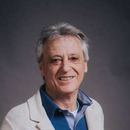 Carlo Filippini - Founder and Senior Partner @ GSO Consulting ...