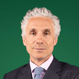 Matthias Calice - Chairman of the Board of Directors @ ELK Fertighaus ...