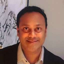 Mani Srinivasan - Chief Business Officer @ TRIPP - Crunchbase Person ...