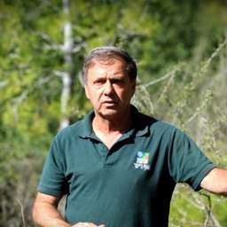 David Brand - Chief Forester @ Jewish National Fund - Crunchbase Person ...