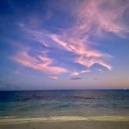 Amber Turnquest - executive assistant @ PiccMee - Crunchbase Person Profile