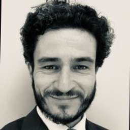 Luca Todesco - Crunchbase Person Profile