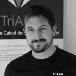 Guillaume Cassin - CEO & Founder @ TriDyme - Crunchbase Person Profile