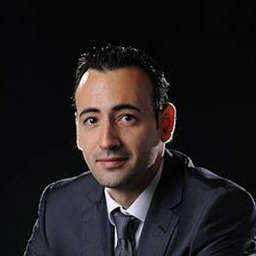 Greg Sofiev - CEO @ Lev Leviev Group of Companies - Crunchbase Person ...