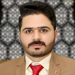 Syed Laique Haider - Crunchbase Person Profile