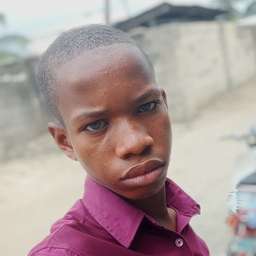 Michael Chinemerem - Crunchbase Person Profile