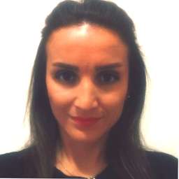 Elif Altay Akar - Chief Accountant /CPA @ BOSAL - Crunchbase Person Profile