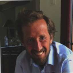 David Lainé - Crunchbase Person Profile