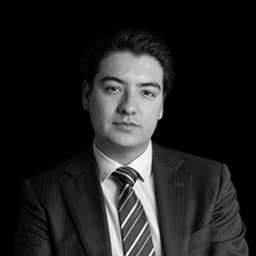 Ananda Lee - Crunchbase Person Profile