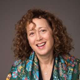 Robin Weisman - Corporate Director @ INV Metals - Crunchbase Person Profile