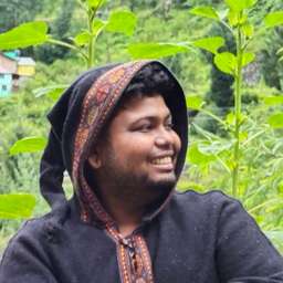 Shiladitya Roy - Crunchbase Person Profile