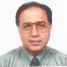 Umesh Mehra - Crunchbase Person Profile