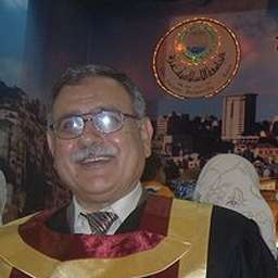 Prof. Dr. Nasser Ismail Farahat - Crunchbase Person Profile