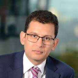 Layth Al-Falaki - Chief Executive Officer @ GuarantCo - Crunchbase ...