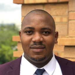 Lunga Bhengu - Crunchbase Person Profile