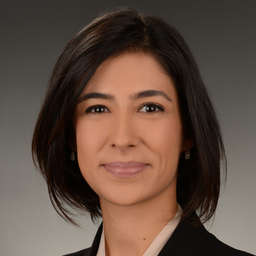 Gozde Demir - Crunchbase Person Profile