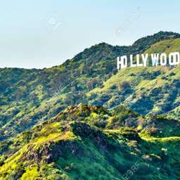 Anthony Elliot - Crunchbase Person Profile