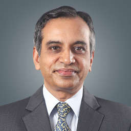 R. Shankar Raman - Crunchbase Person Profile