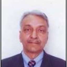 Prabhakar Ram Tripathi - Crunchbase Person Profile