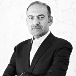 Dilawar Syed - Special Representative for Commercial & Business Affairs ...