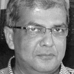 Saibal Chatterjee - Crunchbase Person Profile