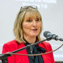 Sandra Peake - Chief Executive Officer @ Wave Trauma Centre ...