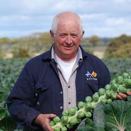 Billy Logan - Crunchbase Person Profile