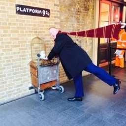 Anthony Gallagher - Founder and Managing Director @ Petstop ...