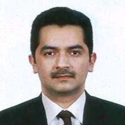 Hasnain Raza - Crunchbase Person Profile