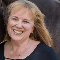 Dana Butler- Moburg - CEO @ The Shea Center - Crunchbase Person Profile