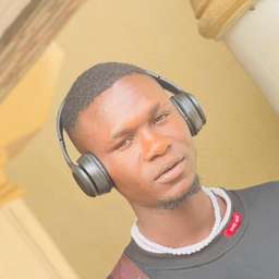 Temidayo Orimisan - Crunchbase Person Profile