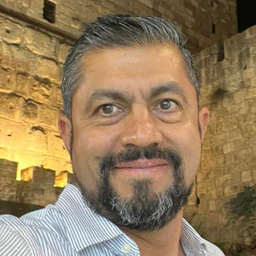 David Misael Fuerte Garfias - Founder & Managing Partner @ Prosefis ...