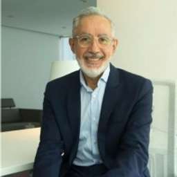 Walther Flores - CEO @ Gyssa - Crunchbase Person Profile