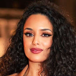 Ikram Mansori - COO @ VetsInTech - Crunchbase Person Profile