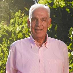 Thomas Bär - Crunchbase Person Profile