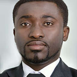 Djoumey Diallo - CEO @ Diallo Investment Group - Crunchbase Person Profile