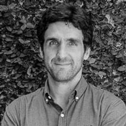 Daniel Izzo - Co-Founder & CEO @ Vox Capital - Crunchbase Person Profile