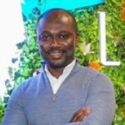 Ed Blankson - Chief Financial Officer @ Lanistar - Crunchbase Person ...