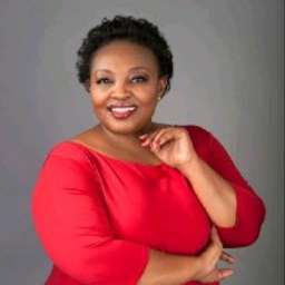 Dudu Msomi - Founder and CEO @ Busara Leadership Partners - Crunchbase ...