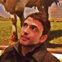 Mark Castellani - Crunchbase Person Profile