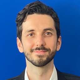 Guillaume Lauzier - Founder @ GeneratedArt - Crunchbase Person Profile