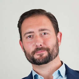 Marco Solieri - CEO @ Minerva Systems - Crunchbase Person Profile