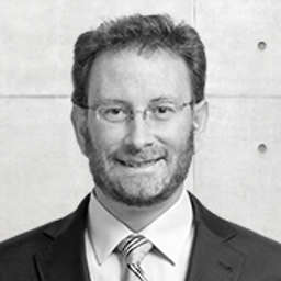 Augusto Coello Lizana - Chief Executive Officer Real and Estate ...