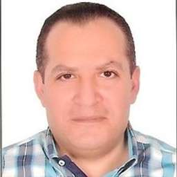 Ibrahim Itani - CIO @ Amico Group - Crunchbase Person Profile