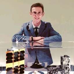 George-Cristian Potrivitu - CTO/Co-founder @ Aliena - Crunchbase Person ...