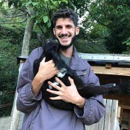 Omri Shabtay - Co-Founder and CTO @ Bitrawr - Crunchbase Person Profile