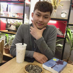 CEO Hoàng Hoàn - Crunchbase Person Profile